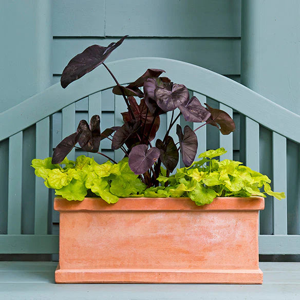 Italian Terracotta Basic Window Boxes — Boxhill & Co., LLC