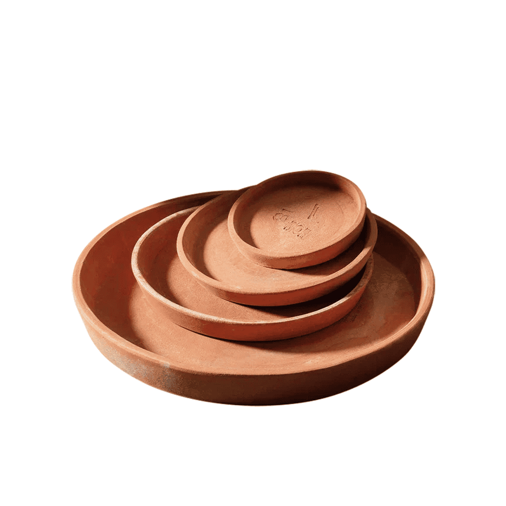 Italian Terracotta Conservatory Planter — Boxhill & Co., LLC