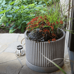 Ripple Planters - Wide | 22.5" dia. | Boxhill — Boxhill & Co., LLC