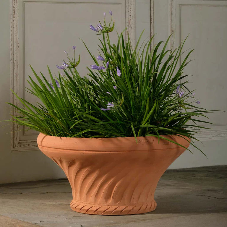 Italian Terracotta Conservatory Planter — Boxhill & Co., LLC