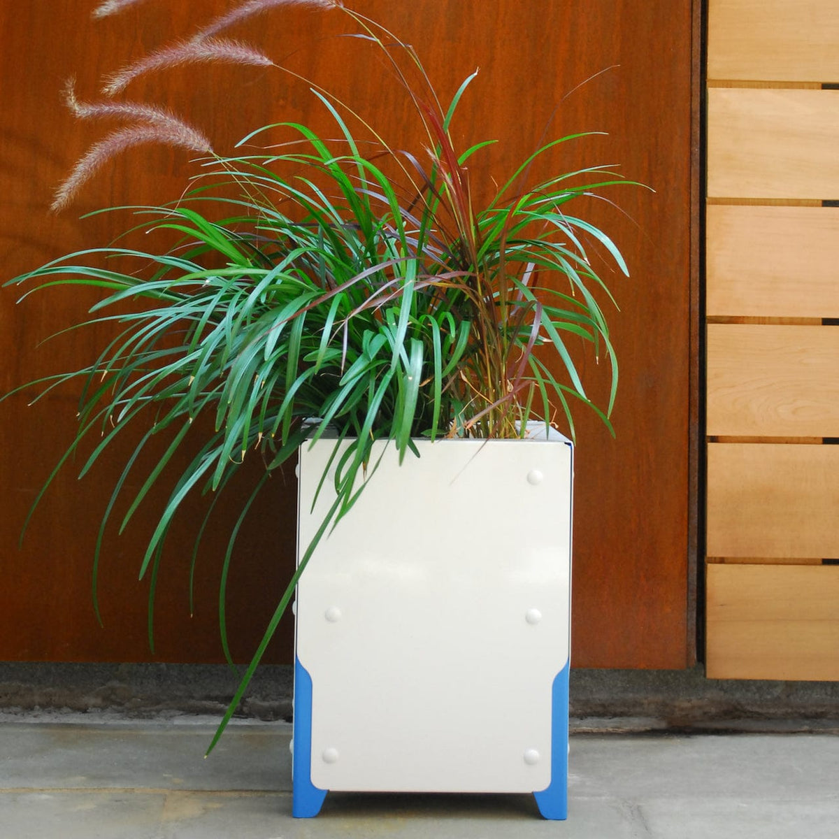 BOLTON Short Planter | Set of 4 — Boxhill & Co., LLC