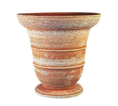 Italian Terracotta Hellebore Planter — Boxhill & Co., LLC